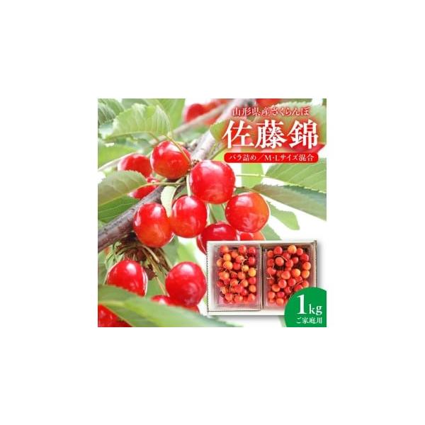 容量佐藤錦　１ｋｇ　Ｍ・Ｌサイズ混合バラ詰め　ご家庭用※サイズの指定はできません。※天候により出荷時期や規格（数、サイズ、品種等）を変更する場合がございます。発送期日２０２６年６月上旬〜６月下旬迄※ご不在日が多く配達が困難な場合、お礼品や配...