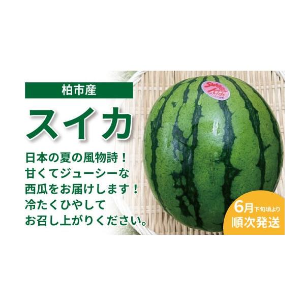 容量柏市産　スイカ　1個※サイズ指定は出来ません。消費期限到着後は冷暗所・風通しのよい場所・冷蔵庫で保管してください。生鮮品ですのでなるべくお早めにお召し上がりください。発送期日ご寄附納入の確認後、収穫後2026年6月下旬頃から順次発送いた...