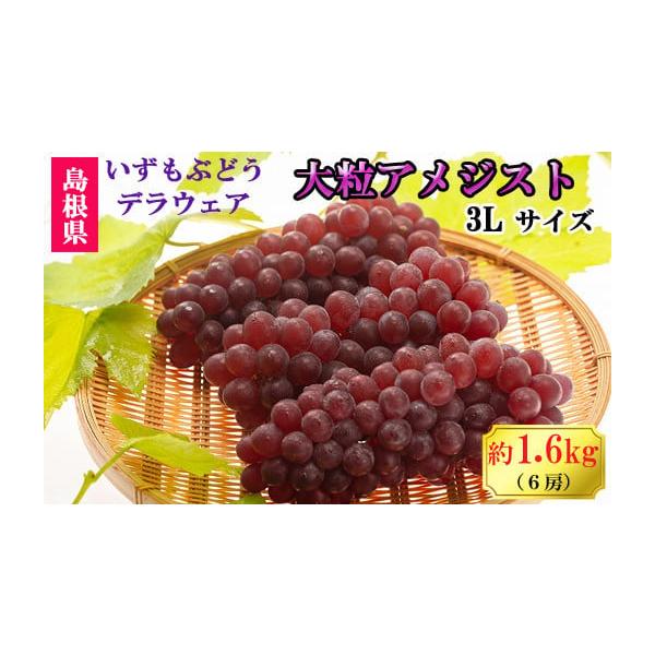 容量「デラウエア3Lサイズ」入数：6房量目：1.6kg見当消費期限賞味期限：冷蔵で5日程度発送期日【期間限定】6月以降発送下記地域は発送不可地域となります。・伊豆諸島：青ヶ島村（青ヶ島）・利島村（利島）・御蔵島村（御蔵島）・式根島・小笠原諸...