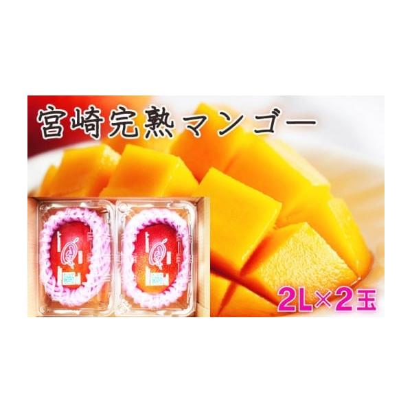 容量みやざき完熟マンゴー2Lサイズ（350g〜459g）×2個（パック）発送期日2026年5月上旬〜7月中旬頃発送予定配送冷蔵 時間指定 別送事業者串間市大束農業協同組合申込条件何度も申し込み可、オンライン決済限定