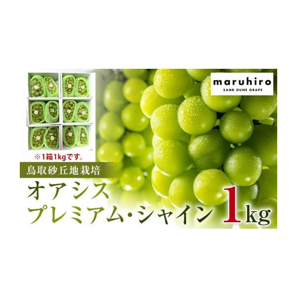 容量シャインマスカット1kg（2房）発送期日8月下旬頃〜10月下旬頃に順次発送配送冷蔵 時間指定 別送申込期日〜2026年10月17日事業者マルヒロぶどうファーム申込条件何度も申し込み可