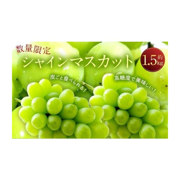 容量約1.5kg消費期限賞味期限：生ものですのでお早めにお召し上がりください。発送期日寄附確認後、2026年8月下旬〜9月下旬に順次発送予定配送冷蔵 時間指定 別送申込期日2026年9月7日まで寄附受付事業者長崎西彼農業協同組合申込条件何度...