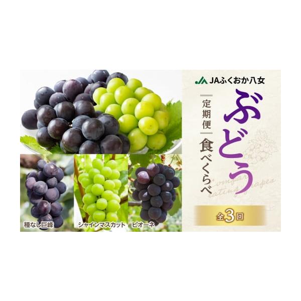 容量1回目（種なし巨峰）：約350g×4パック2回目（ピオーネ）：約350g×4パック3回目（シャインマスカット）：約350g×4パック消費期限お早めにお召し上がりください発送期日1回目（種なし巨峰）：2026年7月上旬頃〜（予定）2回目（...