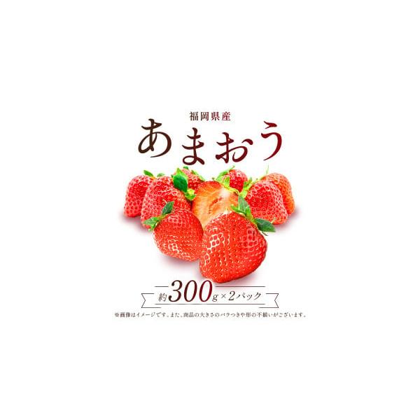 容量あまおう（1パック約300g）×2パック※平パック（約600ｇ）でお届けします。※大きさのバラつきや形の不揃いがございますので、ご理解いただける方のみお申込みをお願いいたします。●あまおうは実が柔らかい品種のため、梱包には十分気をつけて...