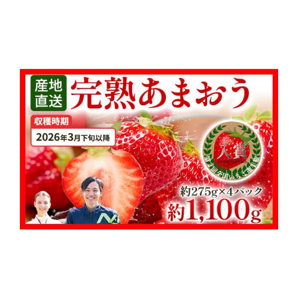 容量約1,100g（約275g×4パック）消費期限■賞味期限 生ものですのでできるだけお早めにお召し上がりください。■保存方法 要冷蔵（10℃以下で保存）発送期日2026年3月下旬以降順次発送予定配送冷蔵 時間指定 別送事業者ダンケファーム...