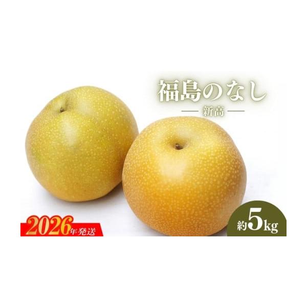 容量約5kg消費期限発送日+5日以内推奨、到着後お早めに発送期日2026年9月中旬〜2026年10月中旬順次発送予定配送常温 時間指定 別送事業者株式会社幸青果申込条件何度も申し込み可、オンライン決済限定