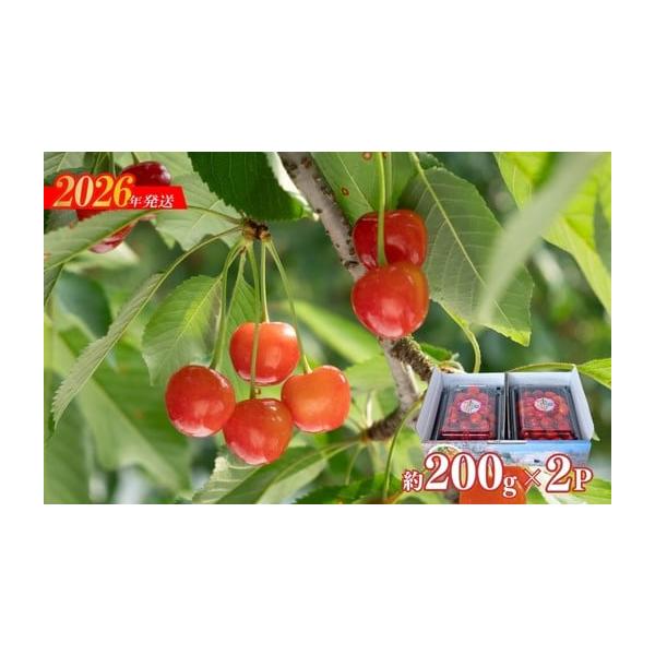容量200g×2パック消費期限発送日+3日程度発送期日2026年6月中旬から2026年6月下旬発送予定配送冷蔵 時間指定 別送事業者ヤマ孝 紺野果樹園申込条件何度も申し込み可、オンライン決済限定