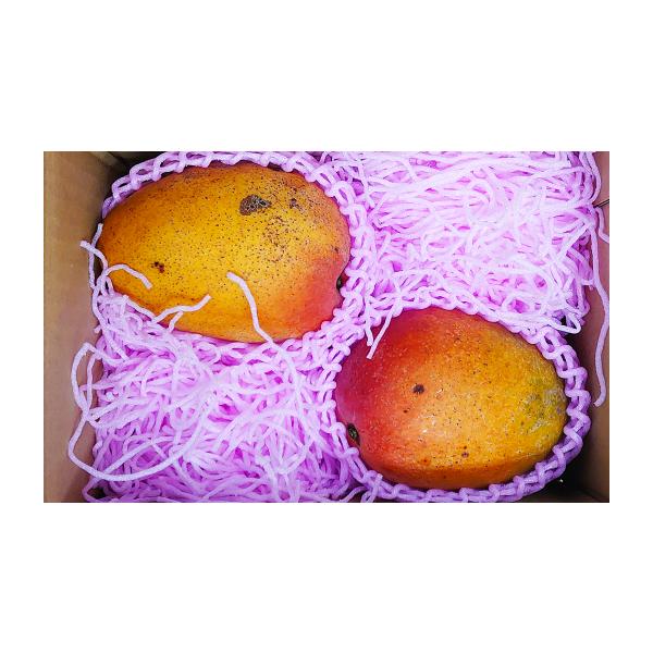 容量約1kg前後(2〜4玉程度)消費期限7日発送期日2026年7月上旬〜8月下旬迄順次発送予定配送冷蔵 時間指定 別送申込期日〜2026年8月10日まで寄附受付事業者原田農園申込条件何度も申し込み可