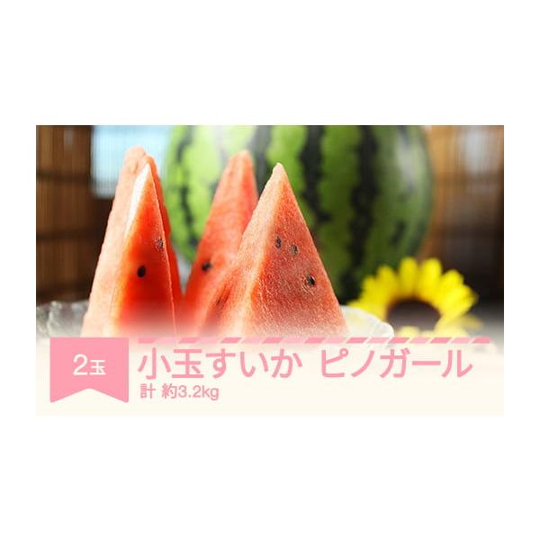 容量2玉 (計 約3.2kg)発送期日7月中旬〜8月上旬頃 ※生育の状況により多少前後することがあります配送常温 時間指定 別送事業者丸松青果申込条件何度も申し込み可