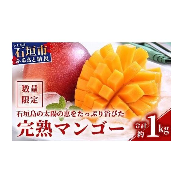 容量石垣島産マンゴー（アーウィン種）約1ｋｇ生産地：石垣市発送期日6月下旬からの発送予定。天候等により変動する可能性もございます。配送冷蔵 時間指定 別送申込期日期間限定事業者ひらねこマンゴー生産組合申込条件何度も申し込み可