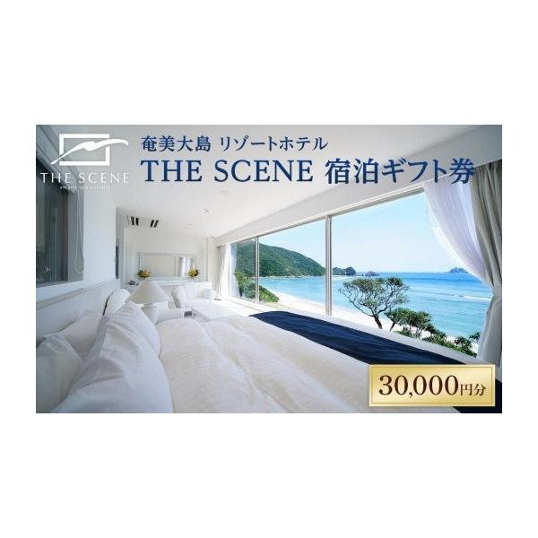 容量宿泊ギフト券30,000円分※詳細はお礼の品概要を必ずご覧ください。消費期限発効日から1年間発送期日【スピード発送】決済から7日程度で発送配送別送申込期日通年事業者THE SCENE申込条件何度も申し込み可