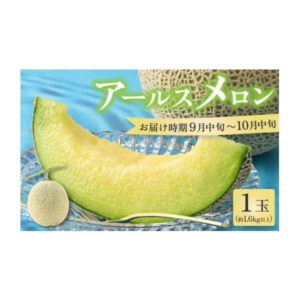 容量2L×1玉　（1.6kg以上）消費期限発送日より7日以内（食べ頃日のシールを貼付しお届けいたします。）発送期日2026年9月中旬〜2026年10月中旬の間に準備出来次第、順次発送いたします。（生育状況により前後する場合がございます。予め...