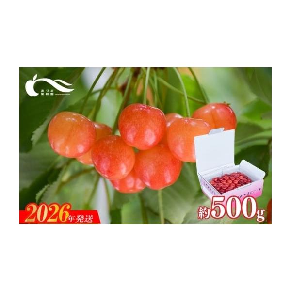 容量約500g消費期限発送日+2日程度※生ものですので期間に関わらずお早目にお召し上がりください。発送期日2026年6月上旬から2026年6月下旬発送予定配送冷蔵 時間指定 別送事業者有限会社あづま果樹園申込条件何度も申し込み可、オンライン...