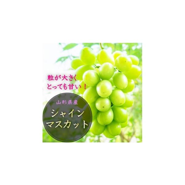 容量秀品　1房　約700g〜800g消費期限冷蔵庫で約7日発送期日2026年9月中旬頃〜2026年10月中旬頃に順次発送予定配送冷蔵 別送申込期日〜2026年9月30日事業者株式会社山美ファーム申込条件何度も申し込み可、オンライン決済限定