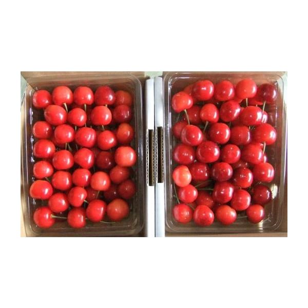 容量佐藤錦　１ｋｇ（５００ｇ×２パック）　Ｌサイズ以上　秀品※サイズの指定はできません。※天候により出荷時期や規格（数、サイズ、品種等）を変更する場合がございます。発送期日２０２６年６月中旬〜６月下旬迄※ご不在日が多く配達が困難な場合、お礼...