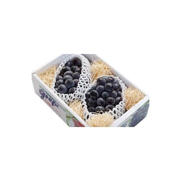 容量1.5kg（秀2〜4房）消費期限1週間程度発送期日2026年9月上旬〜10月上旬※生育状況によってお届けが前後する場合がございます。【配達】ヤマト運輸※生育状況によって前後する場合がございます。配送冷蔵 のし 時間指定 別送申込期日20...