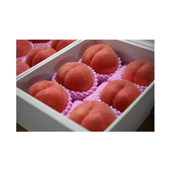 容量3kg(秀6〜12玉)消費期限1週間程度発送期日2026年9月中旬＊生育状況により前後する場合がございます。【配達】ヤマト運輸配送常温 冷蔵 のし 時間指定 別送申込期日2026年8月31日まで事業者フルーツ果乃蔵申込条件何度も申し込み可