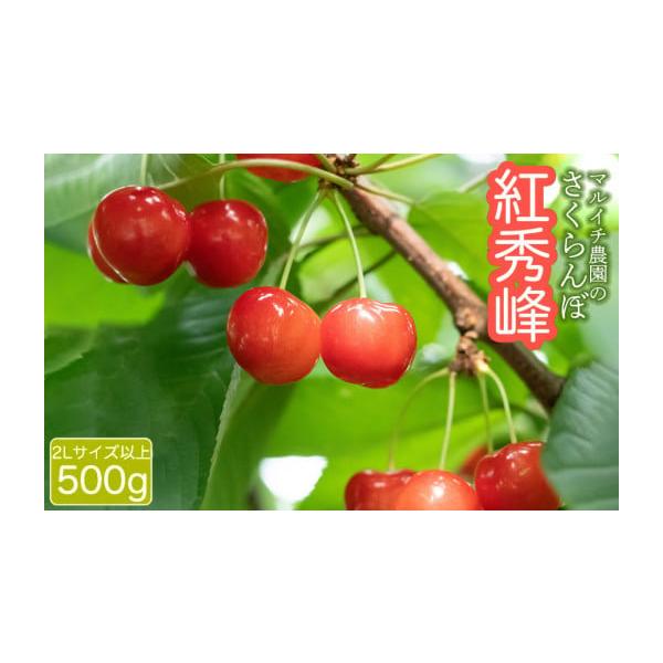 容量さくらんぼ　紅秀峰  500g（2Lサイズ以上）消費期限冷蔵で3日間※生ものですので、なるべく新鮮な内にお召し上がり下さい。発送期日令和8年6月下旬から発送予定※天候や発育状況により、発送期間が前後する場合がございます。※お申込み順に発...