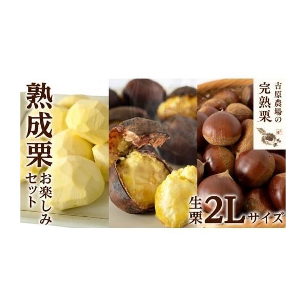 容量生栗 2Lサイズ 1kg焼き栗 2袋（1袋あたり200g）生むき栗3パック（1パックあたり120g）消費期限焼き栗冷蔵7日生むき栗冷蔵6日発送期日10月下旬〜1月頃10月下旬以降は入金確認後、2〜3週間前後で発送※青果物のためなくなり次...