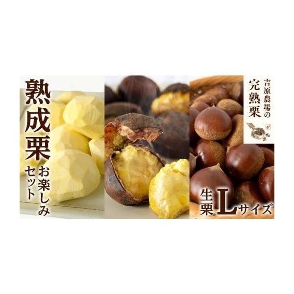 容量生栗 Lサイズ 1kg焼き栗 2袋（1袋あたり200g）生むき栗 3パック（1パックあたり120g）消費期限焼き栗冷蔵7日生むき栗冷蔵6日発送期日10月下旬〜1月頃10月下旬以降は入金確認後、2〜3週間前後で発送※青果物のためなくなり次...