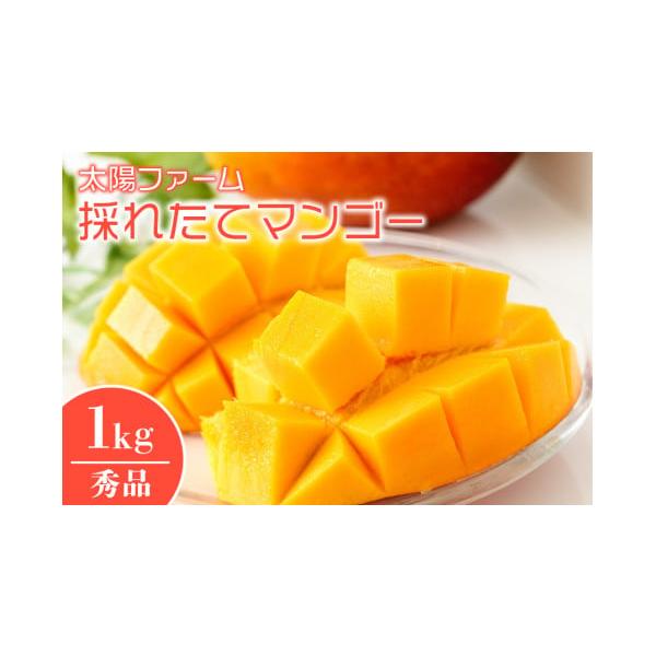 容量マンゴー　1kg（2玉〜4玉）秀品 ※玉数の指定はできません。消費期限果物ですので、到着後は早めにお召し上がりください。発送期日2026年6月上旬〜7月下旬予定配送冷蔵 別送事業者太陽ファーム申込条件何度も申し込み可