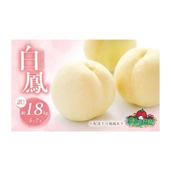 容量白鳳 約1.8kg 5〜7玉／1箱岡山県赤磐市産※訳あり品の為、多少のスレ傷、裂皮、枝あたり、変形がございますのでご了承ください。※輸送中の振動などによる”傷み”が出る場合がありますので、誠に恐縮ですがご理解の上、お申し込みください。※...