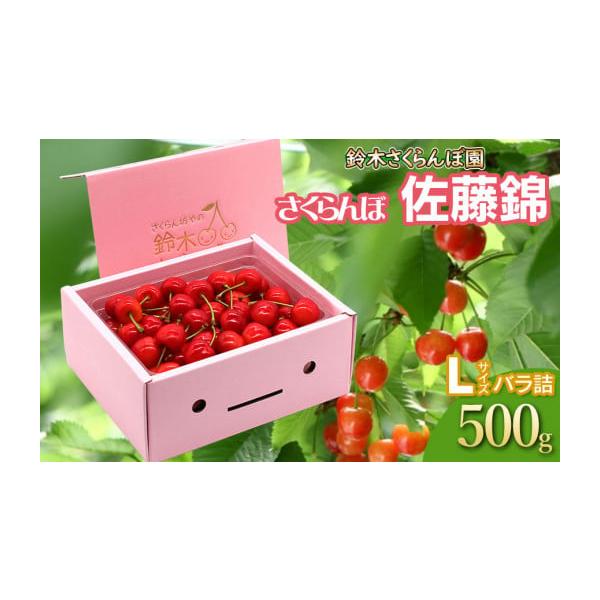 容量さくらんぼ 佐藤錦　バラ詰め Lサイズ500g【産地名】 山形県鶴岡市産【提供事業者】鈴木さくらんぼ園消費期限生ものですので、お早めにお召し上がり下さい。発送期日令和8年6月中旬〜6月下旬頃発送予定※天候や発育状況により、発送期間が前後...