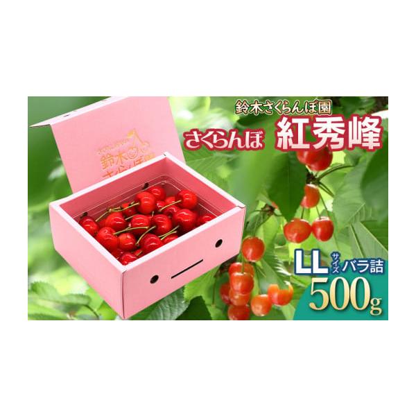 容量さくらんぼ 紅秀峰 (LLサイズ) バラ詰め 500g【産地名】 山形県鶴岡市産【提供事業者】鈴木さくらんぼ園消費期限生ものですので、お早めにお召し上がり下さい。発送期日令和8年6月下旬〜7月上旬頃発送予定※天候や発育状況により、発送期...