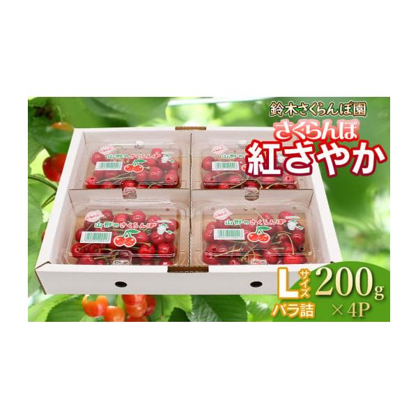 容量さくらんぼ 紅さやか Lサイズ 800g （フードパック バラ詰め 200g×4P）【産地名】 山形県鶴岡市産消費期限生ものですので、お早めにお召し上がり下さい。発送期日令和8年6月上旬〜6月中旬頃発送予定※天候や発育状況により、発送期...