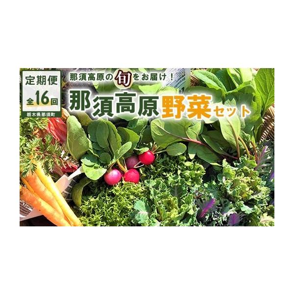 容量7〜8種の高原野菜の詰合せ　定期便全16回発送期日2026年5月後半：1回2026年6月〜12月：各月2回2027年1月：1回配送冷蔵 定期 別送申込期日〜2026年3月31日事業者那須高原こたろうファーム申込条件何度も申し込み可