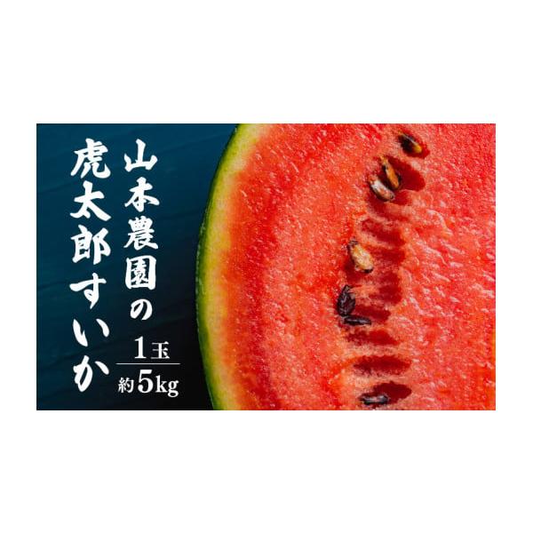 容量■内容量 ／ 産地虎太郎すいか 1玉 約5kg産地：越前町消費期限■賞味期限等発送日より5日以内（冷蔵保存時）※到着後は、冷蔵庫に保存し、なるべく5日以内にお召し上がりください。発送期日【先行予約・2026年7月下旬より順次発送予定】※...