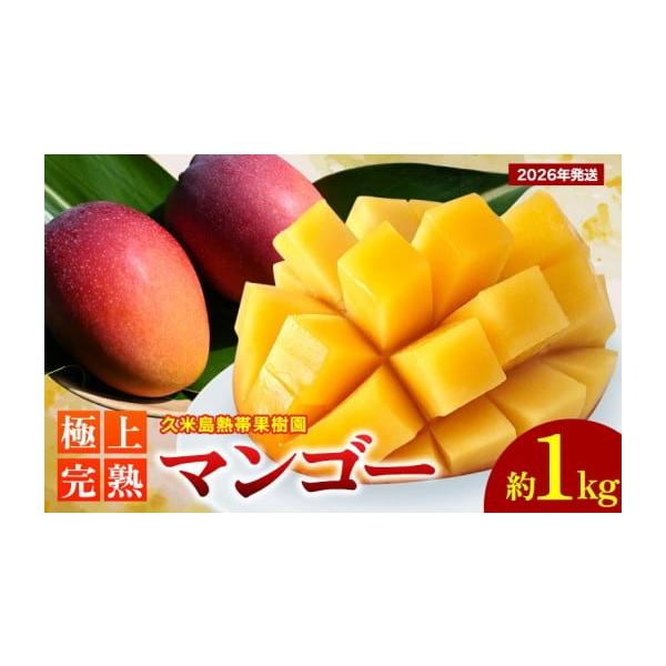 容量完熟マンゴー約1kg（2〜3玉）※玉数の指定はできません消費期限発送日から果物で賞味期限が短いため商品到着後、冷蔵庫で冷やしお早めに召し上がりください。発送期日2026年7月初旬〜8月中旬配送冷蔵 別送申込期日2026年7月15日まで事...