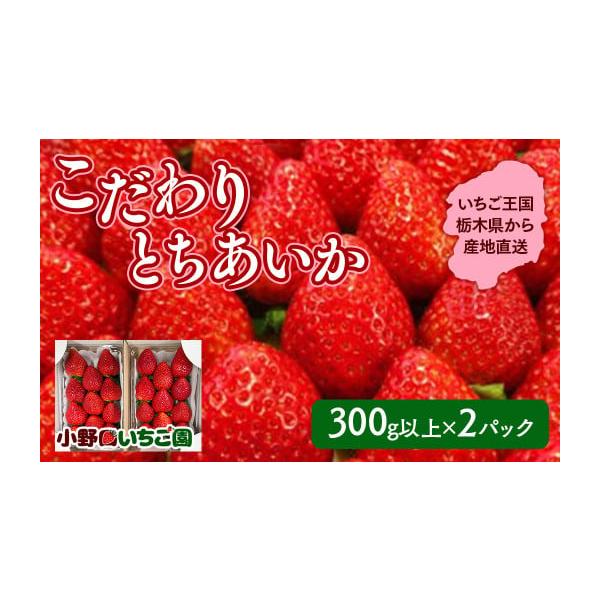 容量300g以上×2パック（1パック 8粒〜14粒）発送期日2025年11月中旬頃より順次発送予定配送冷蔵 時間指定 別送申込期日〜2026年3月31日事業者小野口いちご園申込条件何度も申し込み可