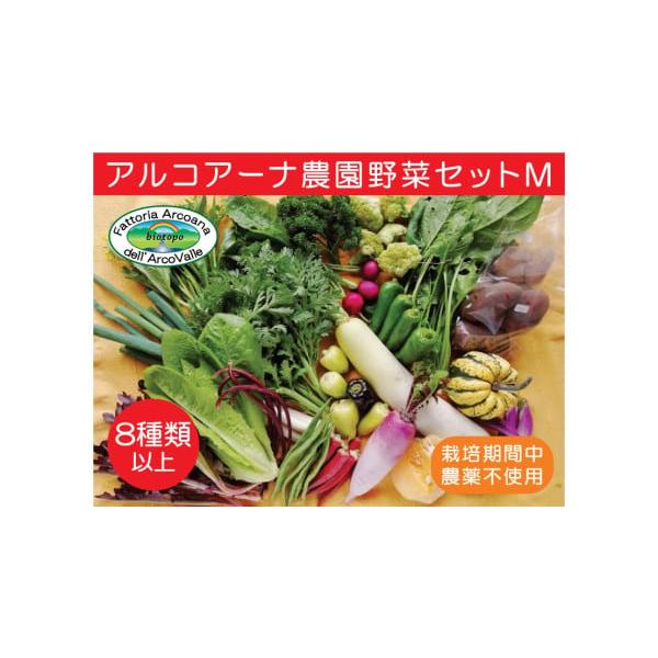 容量Ｍサイズ　季節のおまかせ野菜を８種類以上箱いっぱいに詰めます＜一例＞じゃがいも(紅あかり、マチルダ等)、京紫大根、人参、赤玉ねぎ、サラダ赤カブ、シャインカブ、ルタバガ(スウェーデンカブ)、ほうれん草、紫からし菜、里芋、雪菜、かぼちゃ、春...