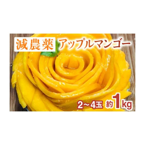 容量西表島産 栽培期間中減農薬栽培 アップルマンゴー約1kg（2〜4玉）発送期日2026年6月中旬〜7月下旬配送冷蔵 時間指定 別送申込期日2026年7月15日まで事業者西表島アナナス農園申込条件何度も申し込み可