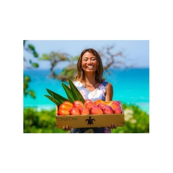 容量マンゴー1kg(2〜3玉）消費期限到着日より３日間程度最も美味しい食べ頃日に合わせて、農園から直送致します。常温で保存し、果実がやわらかくなり、香りが出てきたら食べ頃です。冷蔵庫で冷やしてからお召し上がり下さい。発送期日2026年6月下...