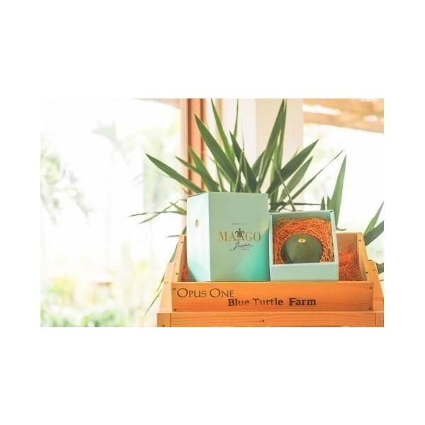 容量キーツマンゴー大1玉消費期限到着日より10日間程度最も美味しい食べ頃日に合わせて、農園から直送致します。常温で保存（追熟が必要）し、果実がやわらかくなり、香りが出てきたら食べ頃です。冷蔵庫で冷やしてからお召し上がり下さい。発送期日202...