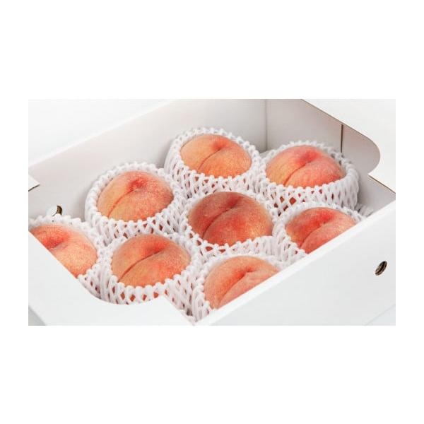 容量約3kg(秀6〜12玉)消費期限1週間程度発送期日2026年8月上旬〜8月下旬【配達】ヤマト運輸配送冷蔵 のし 時間指定 別送申込期日2026年8月20日まで事業者有限会社 仲野観光果樹園申込条件何度も申し込み可