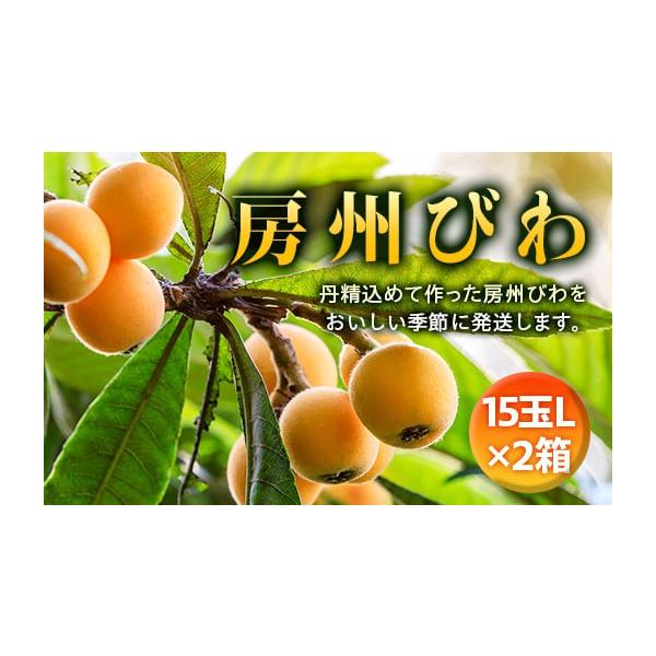 容量Lサイズ 15玉×2箱お手元に届いてからお早めに常温でお召し上がりください。消費期限賞味期限：到着後3日発送期日令和8年5月中旬頃〜令和8年6月中旬頃※収穫状況によりこの限りではありません配送常温 時間指定 別送申込期日令和7年11月1...