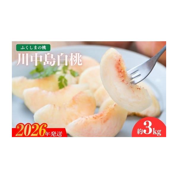 容量3kg（約9玉〜12玉）消費期限発送日+3日発送期日2026年8月中旬から2026年8月下旬発送予定配送冷蔵 時間指定 別送事業者古井果樹園申込条件何度も申し込み可、オンライン決済限定