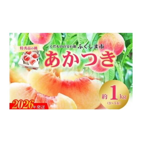容量約1kg（3〜5玉入）消費期限発送日+3日程度発送期日2026年7月中旬から2026年7月下旬発送予定配送冷蔵 時間指定 別送事業者菅野房吉商店申込条件何度も申し込み可、オンライン決済限定