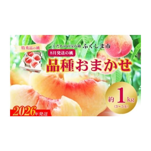 容量品種お任せ約1kg（3〜5玉入）消費期限発送日+3日程度発送期日2026年8月中旬から2026年8月下旬発送予定配送冷蔵 時間指定 別送事業者菅野房吉商店申込条件何度も申し込み可、オンライン決済限定