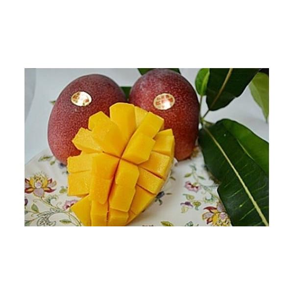 容量マンゴー(アーウィン種) 2〜3玉 約1kg生産地：石垣市消費期限生もの(果実)ですので、お早めにお召し上がり下さい。発送期日6月からの発送予定になります。天候等により変動する可能性もございます。配送冷蔵 時間指定 別送申込期日期間限定...