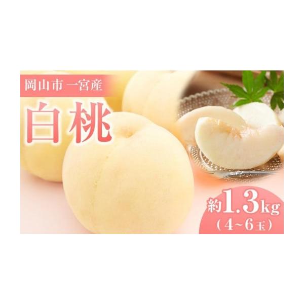 容量ご家庭用 岡山の 白桃（早生、中生種）約1.3kg 4〜6玉1玉あたりの目安  200g以上岡山市内産（5条1号）消費期限出荷日より冷蔵5日発送期日2026年6月下旬〜2026年8月中旬頃配送冷蔵 時間指定 別送申込期日2026年7月2...