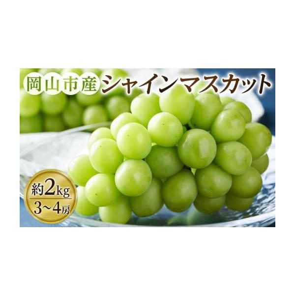 容量シャインマスカット3〜4房（約2kg）岡山市内産（5条1号）※お届け日の指定、時間帯の指定は申し訳ないですが、お受けできません。※果物は大変傷みやすいです。受取後すぐにお品の状態をご確認ください。消費期限出荷日より冷蔵4日発送期日202...