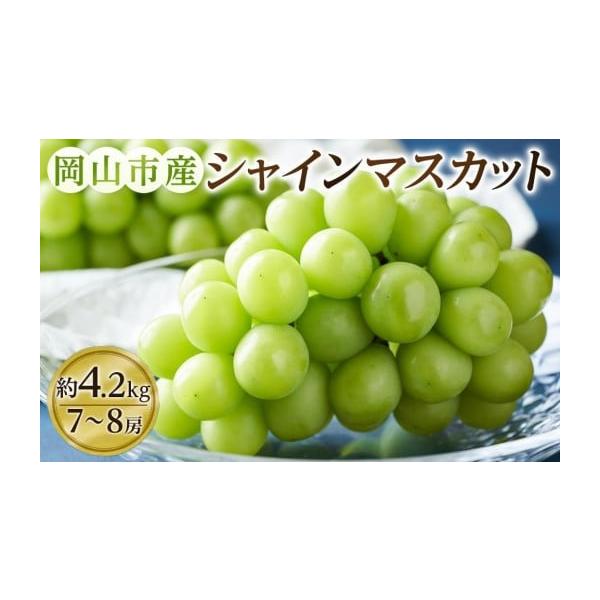 容量シャインマスカット7〜8房（約4.2kg）岡山市内産（5条1号）※お届け日の指定、時間帯の指定は申し訳ないですが、お受けできません。※果物は大変傷みやすいです。受取後すぐにお品の状態をご確認ください。消費期限出荷日より冷蔵4日発送期日2...