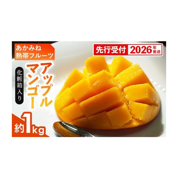 容量アップルマンゴー約1kg（2〜3個)(化粧箱入)※玉数の指定はできません。アレルギー：ウルシ科消費期限 到着後はなるべくお早めに召し上がりください。発送期日2026年7月上旬〜7月末頃を予定配送冷蔵 別送申込期日2026年7月15日頃ま...