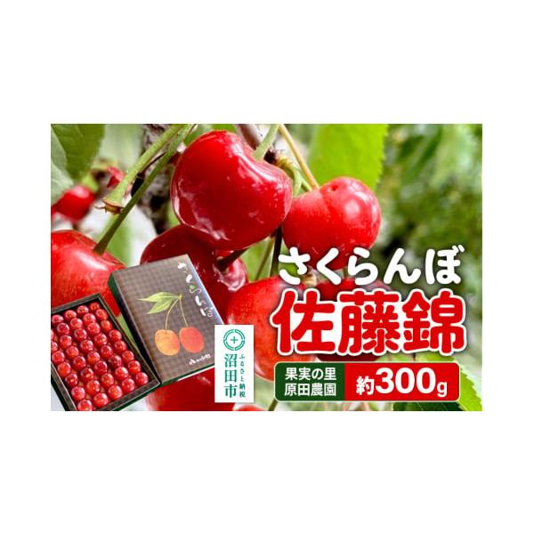 容量■品種：佐藤錦■内容量：約300g■原産地：群馬県沼田市■注意事項：※画像はイメージです。※収穫後、お申し込み順に順次発送となります。※さくらんぼは温度変化に弱いため、届いたらすぐにふたを開けて品質をご確認いただき、冷蔵庫で保管するよう...
