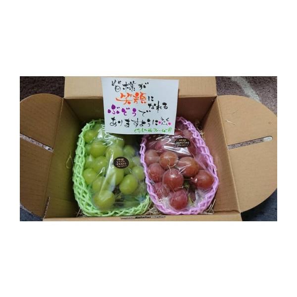 容量ぶどう 2〜3房 1.0kg以上【原材料】ぶどう 国産(滋賀県)消費期限発送日より１週間【保存方法】冷蔵保存発送期日2026年9月中旬〜2026年9月中旬頃配送冷蔵 時間指定 別送申込期日〜2026年8月31日事業者ぐりし〜ぬファーム申...