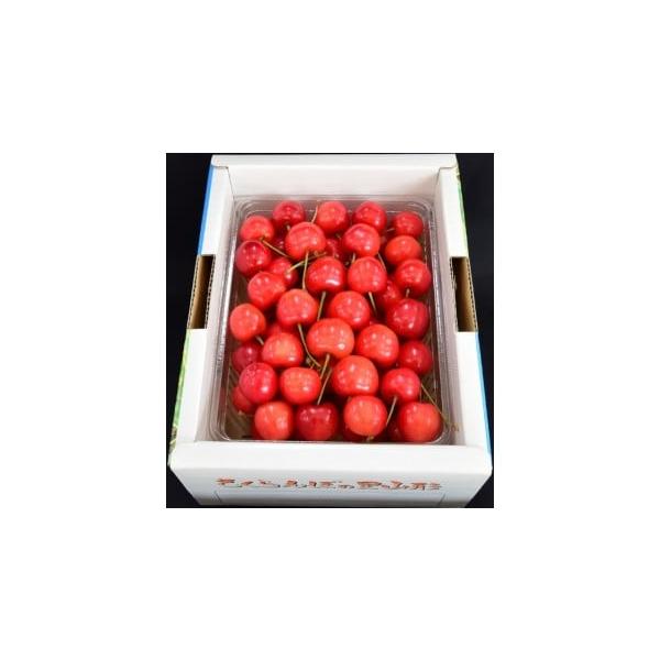 容量佐藤錦　５００ｇ　バラ詰め　Ｌサイズ※天候により出荷時期や規格（数、サイズ、品種等）を変更する場合がございます。発送期日２０２６年６月上旬〜６月下旬迄※ご不在日が多く配達が困難な場合、お礼品や配送先の変更をお願いする場合がございます。配...